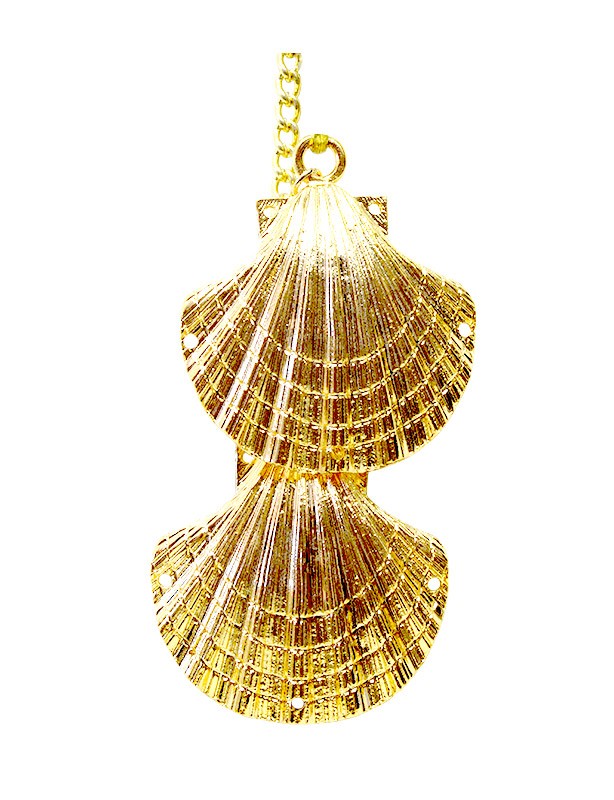 Coquilles St Jacques attache cape CBCS | Histophile