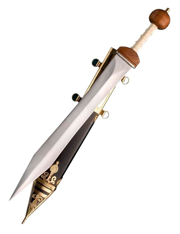 Gladius | Histophile