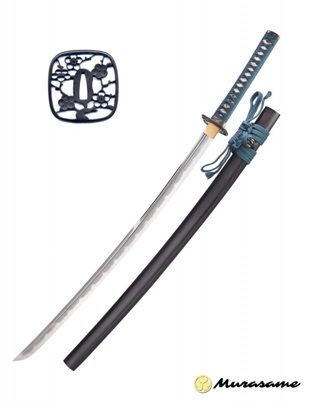 Shinken Zasshu | Histophile